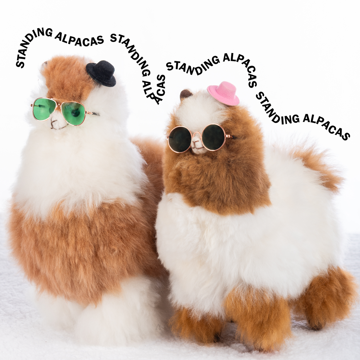 EXCLUSIVE STANDING ALPACA COLLECTION – Alpaca Retail